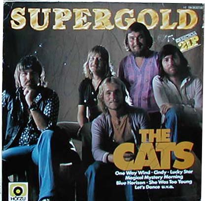 Herberts Oldiesammlung Secondhand LPs The Cats - SuperGold (2-LP) (LP)